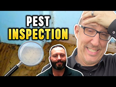 The importance of a Pest Inspection When Buying a Home in Sacramento CA | Twin Termite | Gary Meek