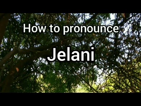 How to Pronounce Jelani