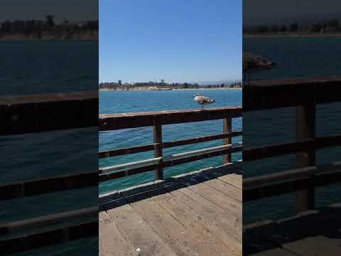 Goleta California👍👍