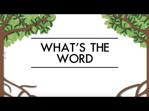 What's The Word: Mangroves