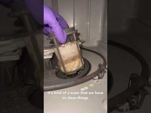 Gross Dishwasher Filter | #cleaning #clean