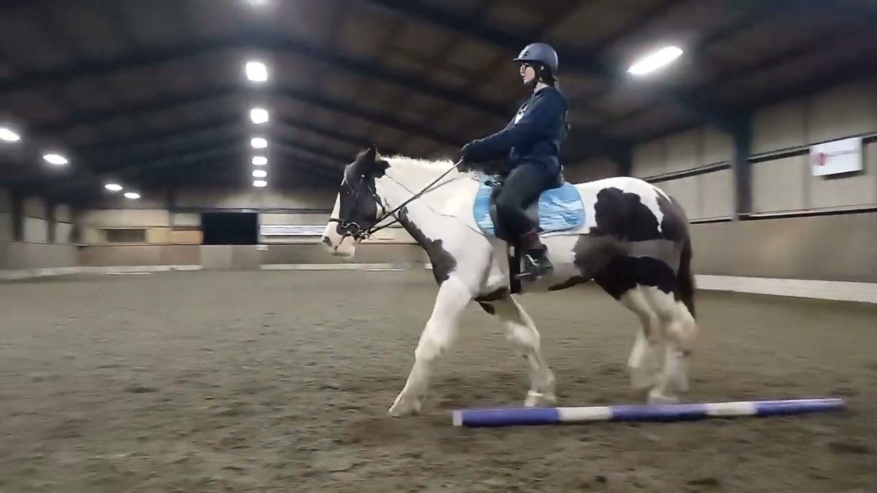 Burley Villa December School Riding Dressage competition