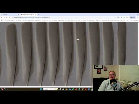 A World Wide Resource to Help You Identify Bird Feathers: Best of All It is Free