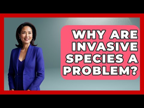 Why Are Invasive Species A Problem? - Biology For Everyone