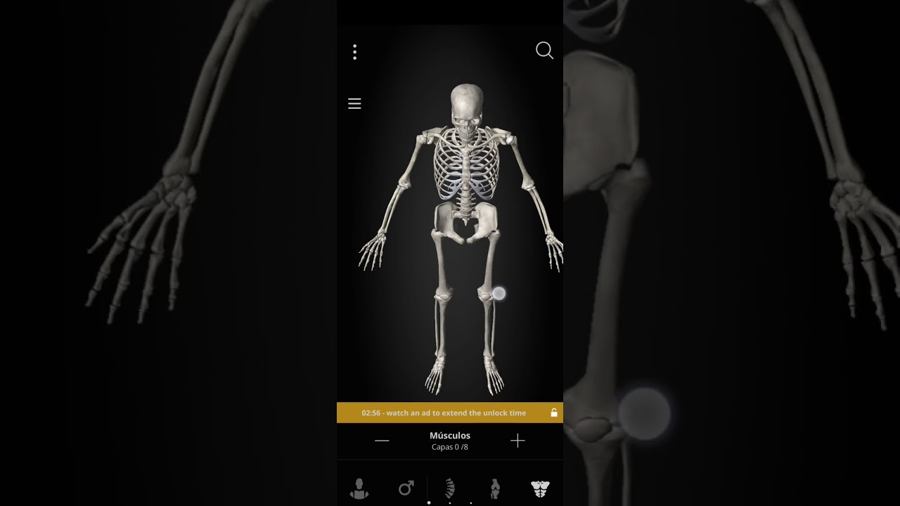 Aprende anatomía gratis con esta aplicación #medicina #anatomia #fisioterapia #libros #pdf