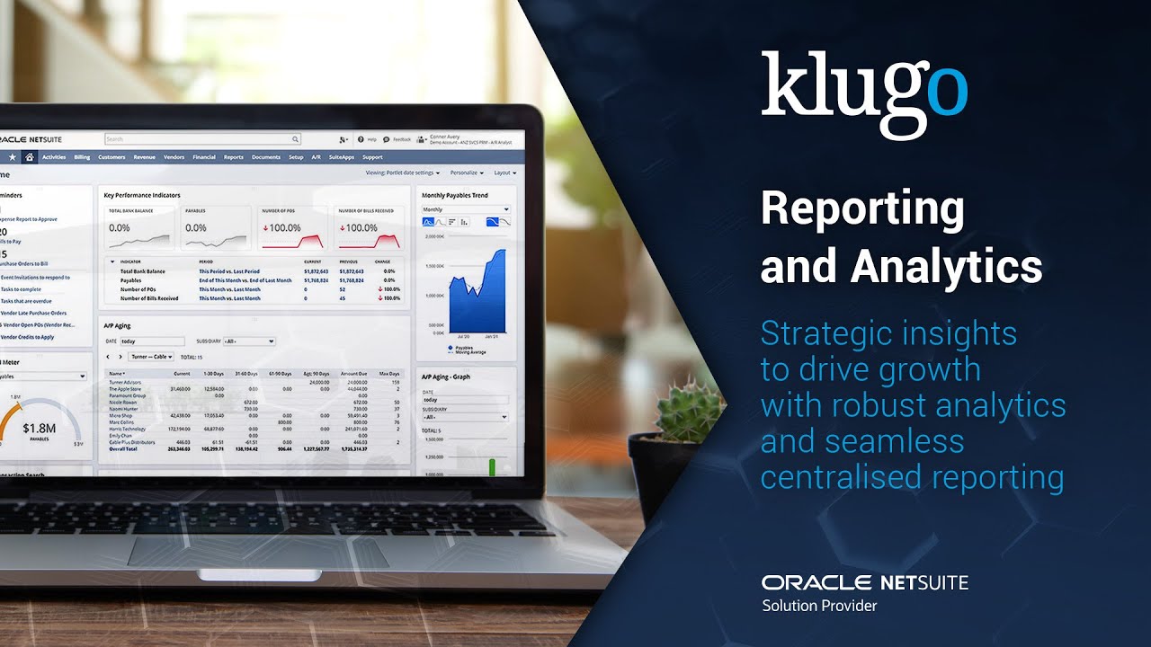 NetSuite Demo - Reporting and Analytics