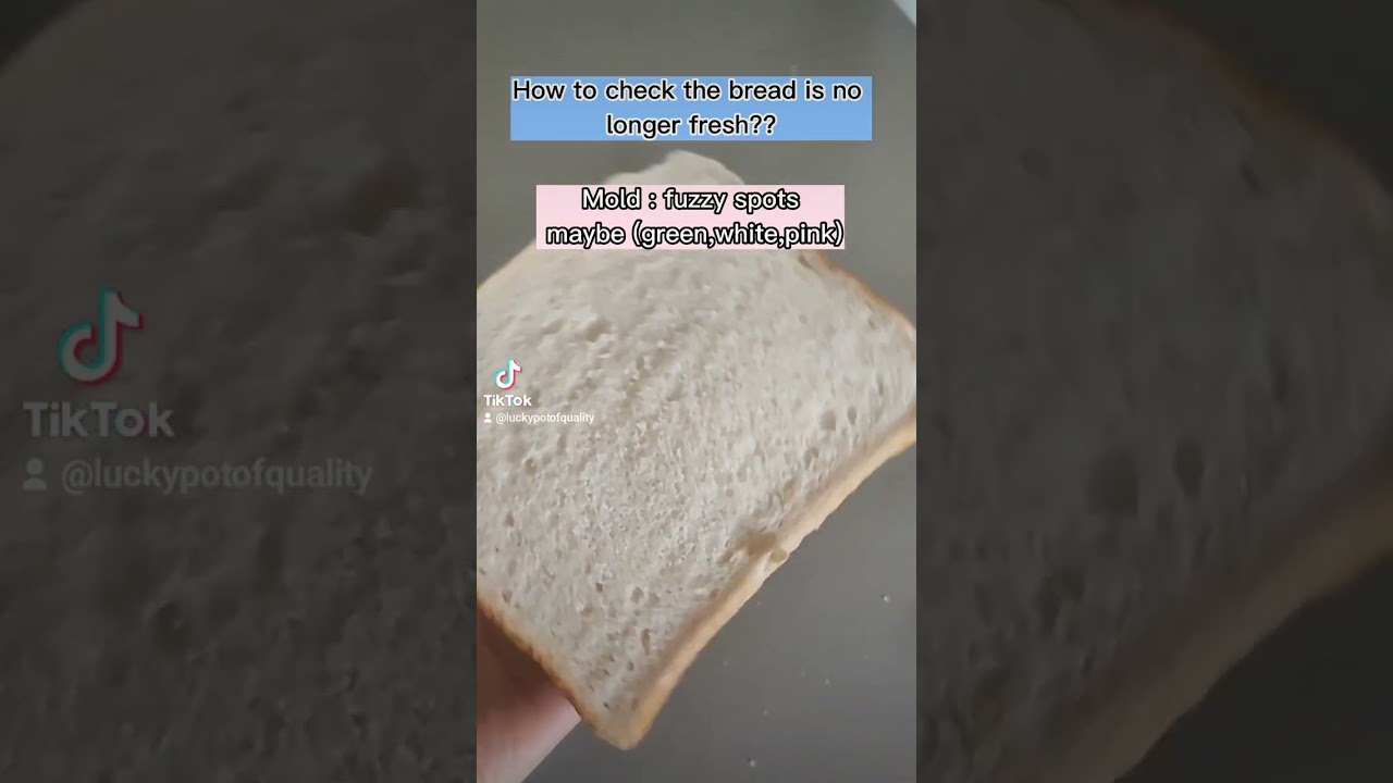 How to tell if bread has gone bad ??   Mold , Unpleasant odor,Stange tast