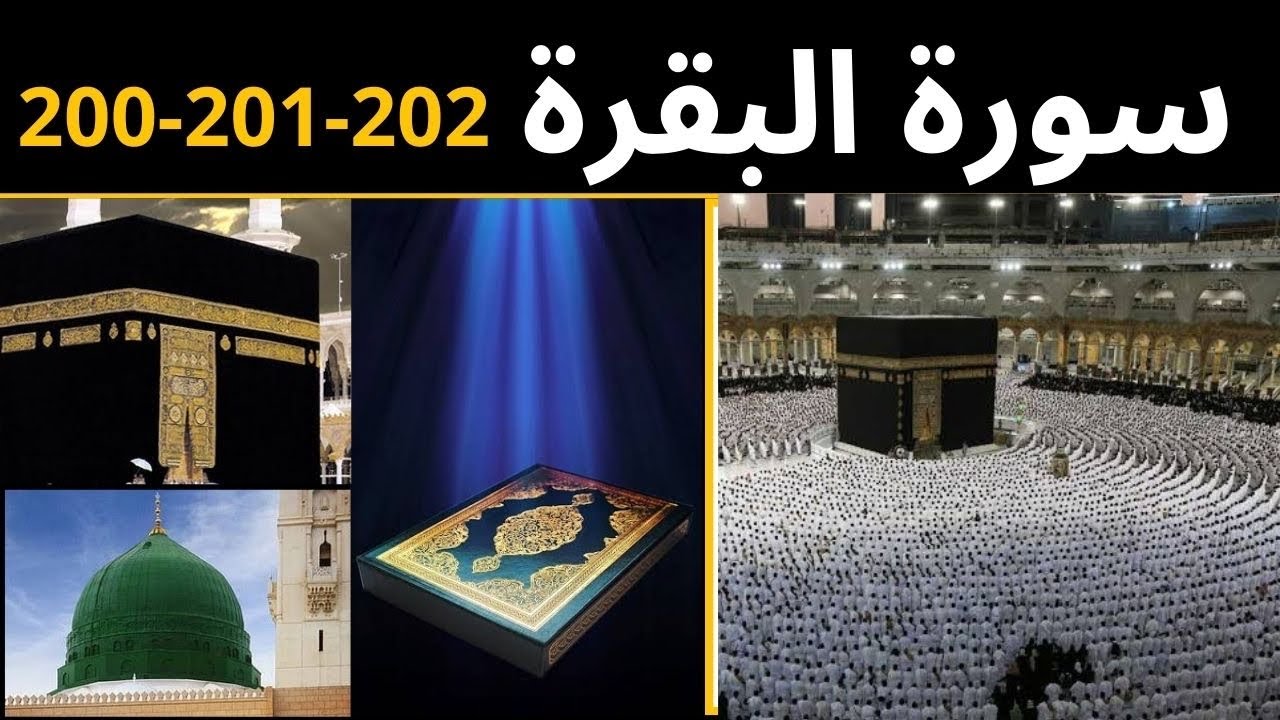 Surah 2 surah al baqarah 200 201 202 سورةالبقرة