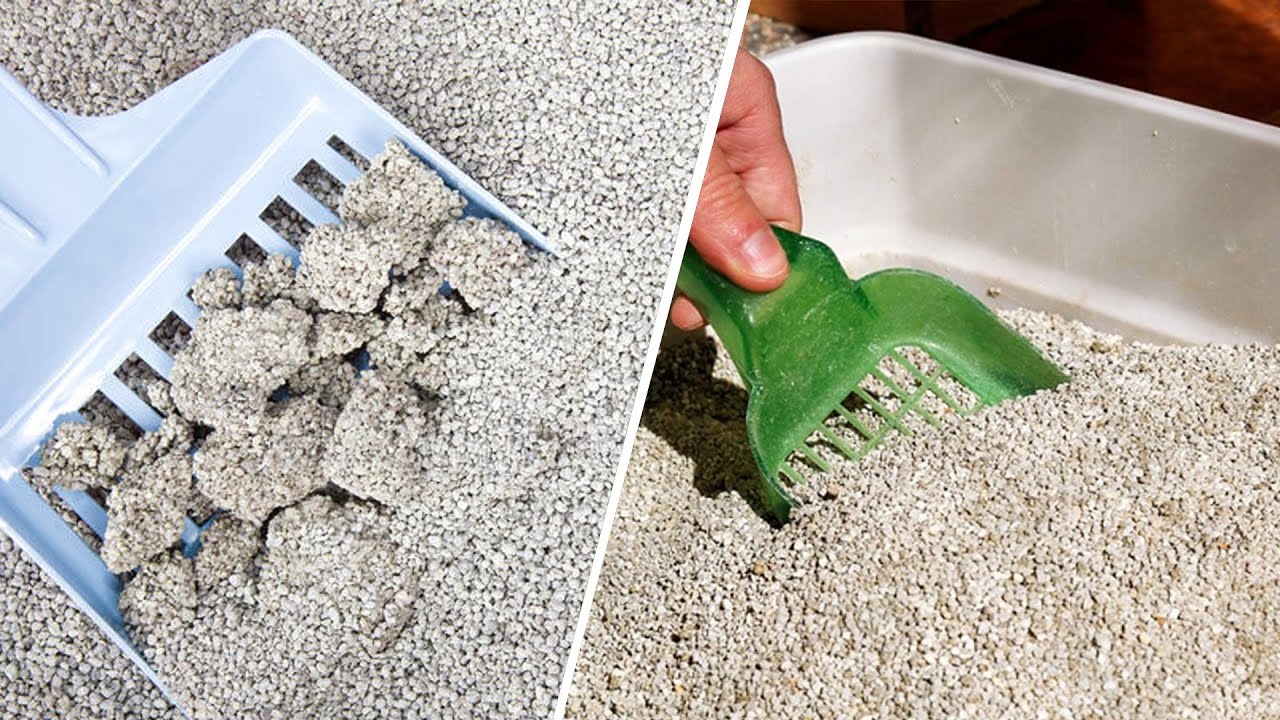 Clumping vs. Non-Clumping - What's Best for My Cat?