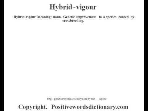 Hybrid-vigour definition | Hybrid-vigour meaning