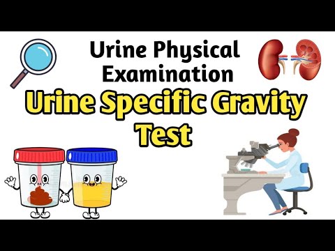 Urine Specific Gravity Test: Urinalysis | Procedure |Normal Value| Causes | Clinical Importance