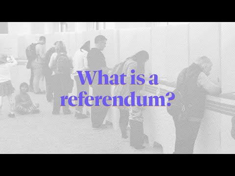 What is a referendum? | The Daily Aus