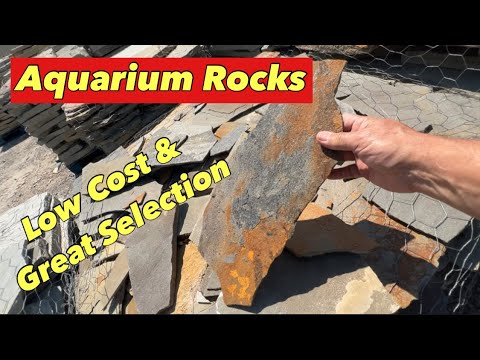Aquarium Rocks for the 300 Gallon Tank [I Found Great Selection and Low Prices!]