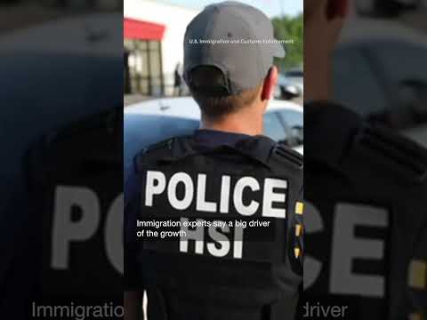 Immigration detentions reach new record highs