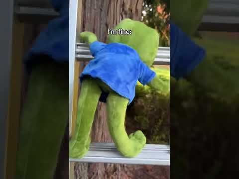 I’m fine ???? #pepe #pepa #feelsgoodman #pepethefrog #sad
