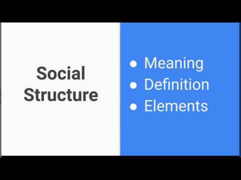 Social Structure-Its meaning, definitions & elements[Sociology]
