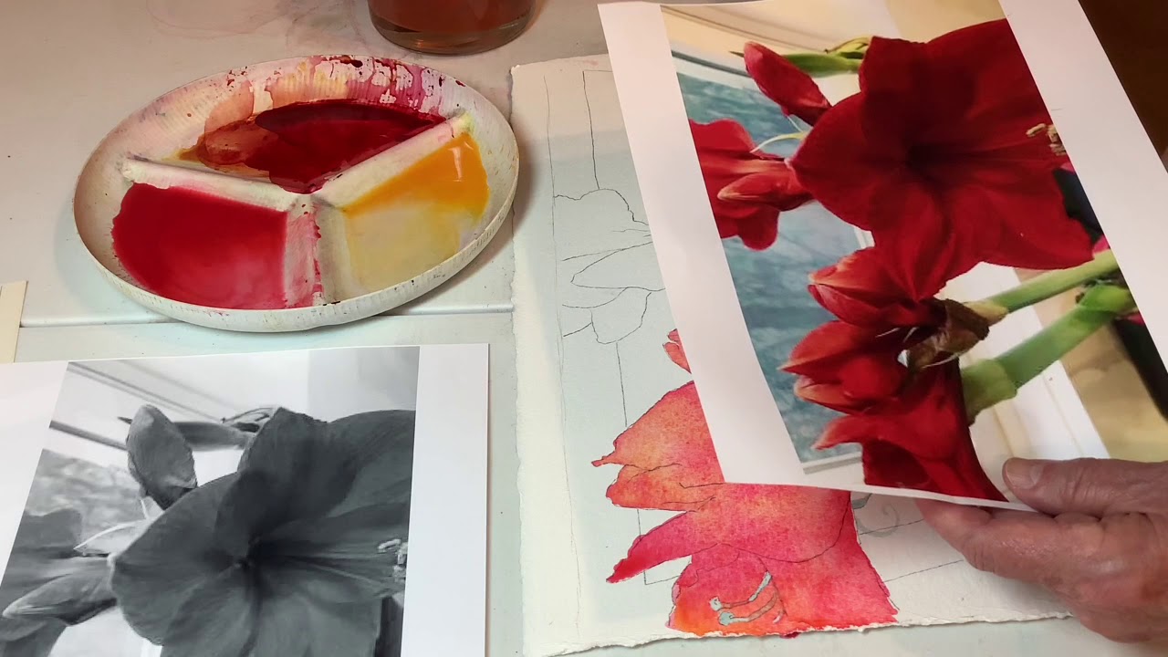Red Amaryllis  part one