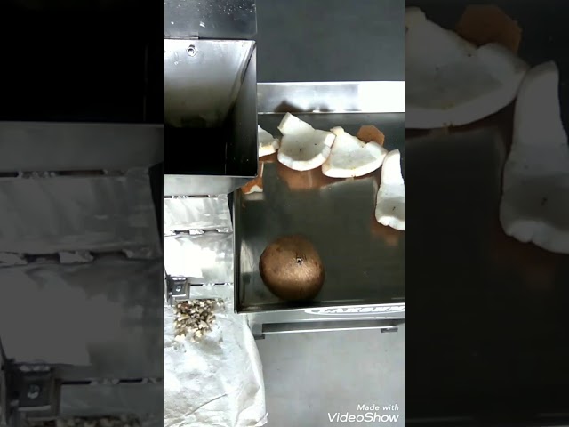 LAKSHMI COPRA CUTTER MACHINE - Lakshmi Copra Cutter Machine ...