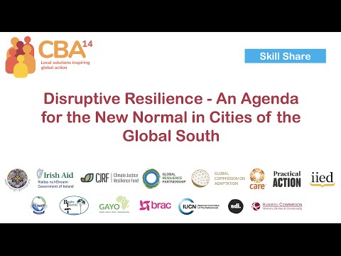 CBA14 day 3 – skill share: Disruptive resilience