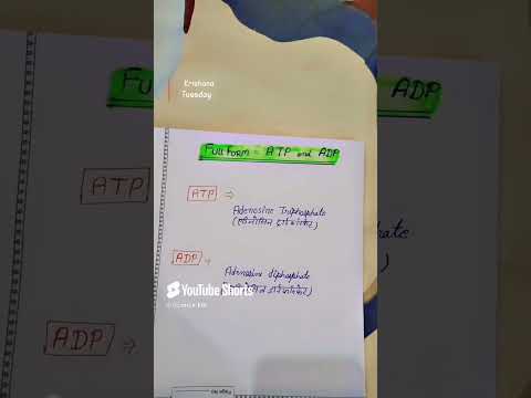 Full form ADP and ATP science ๐งช๐ญ๐ญ