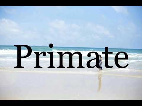 How To Pronounce Primate🌈🌈🌈🌈🌈🌈Pronunciation Of Primate