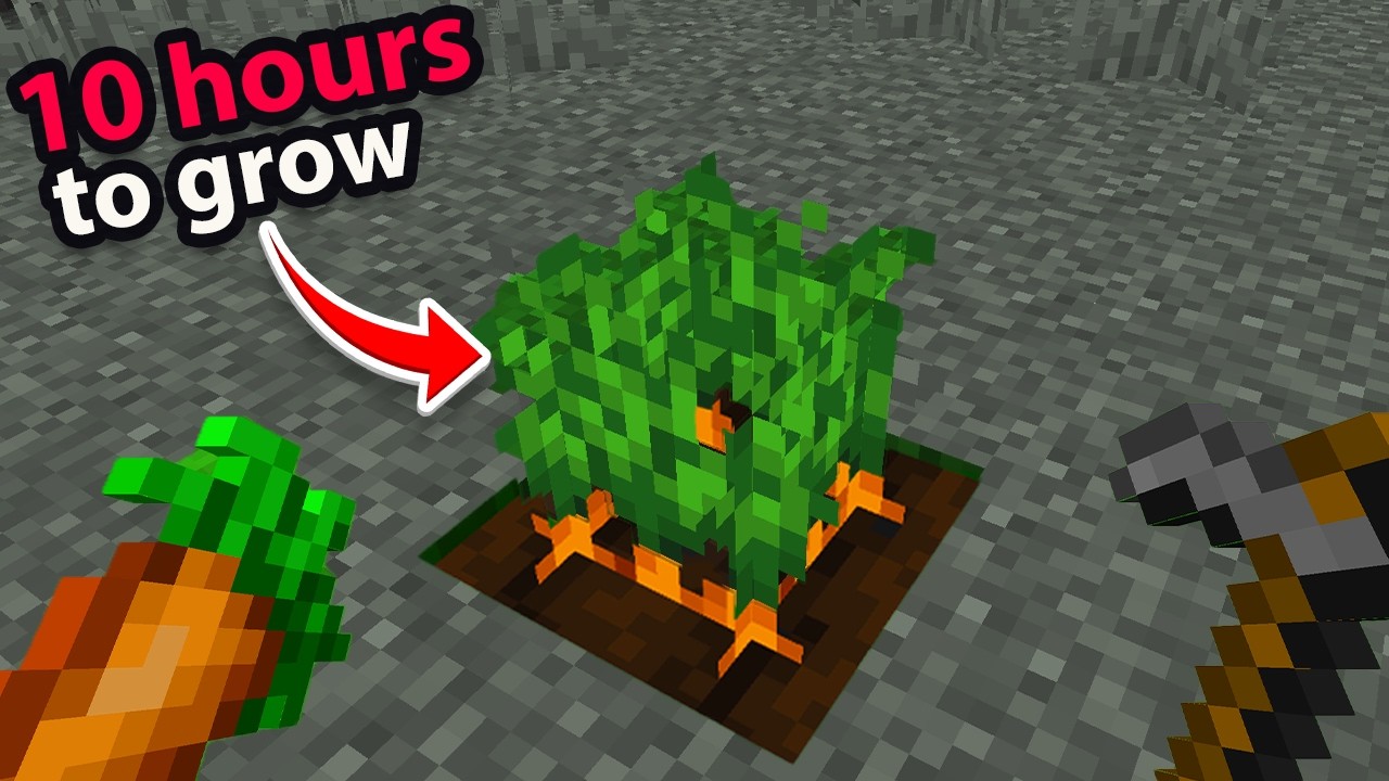 Can you Actually Beat China's Hardest Minecraft Mod?