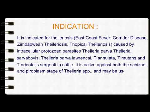 Buparvaquone Injection - Butalex Injection Latest Price, Manufacturers ...