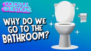 Learn English through Video Why Do We Go To The Bathroom? | COLOSSAL ...
