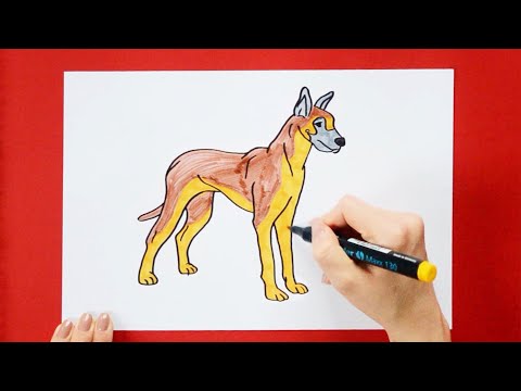 How To Draw A Great Dane Dog Step by Step – I'm Youtuber – Follow my ...
