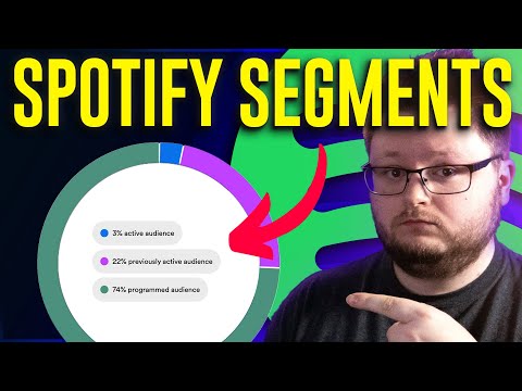 NEW Spotify For Artists Feature | Segments