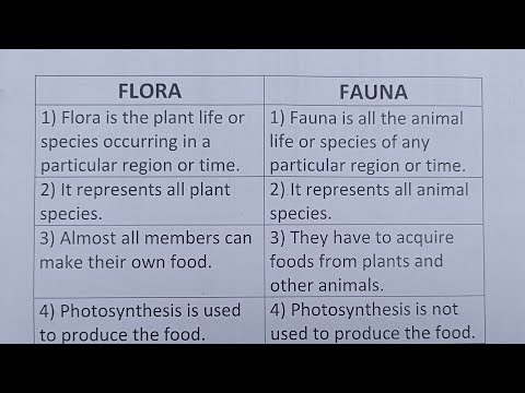 Difference Between Flora And Fauna?-Class Series
