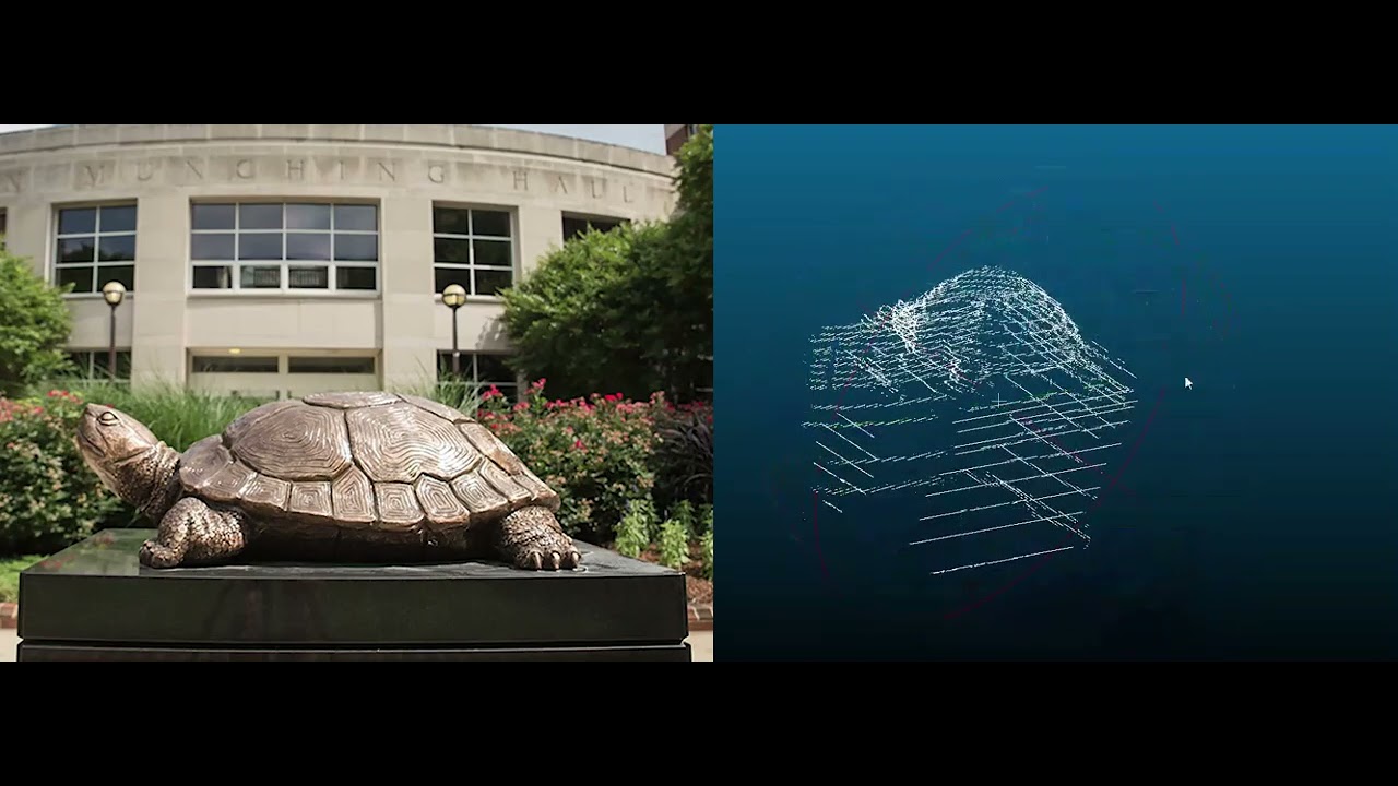 World Turtle Day - May 23 2024