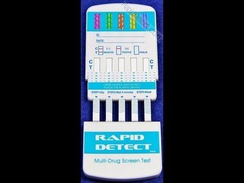 Rapid Detect Card Video Instructions (Procedure)