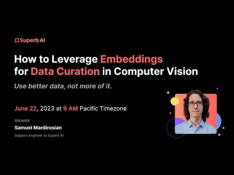 How to Leverage Embeddings for Data Curation in Computer Vision