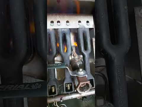 Chips Fryer fix