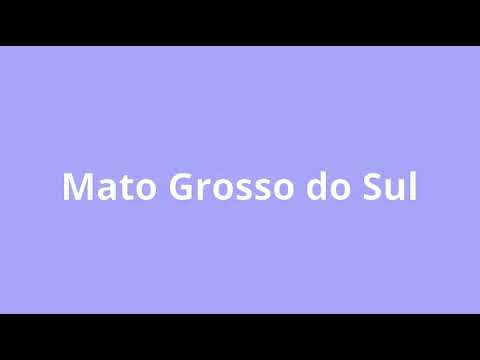 what is the meaning of Mato Grosso do Sul