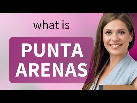 Punta arenas | PUNTA ARENAS definition