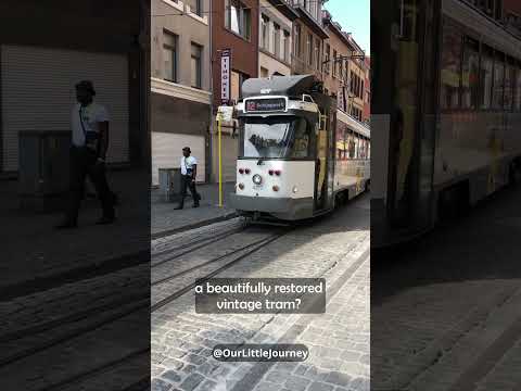 Antwerp's Vintage Trams - Belgium Travel