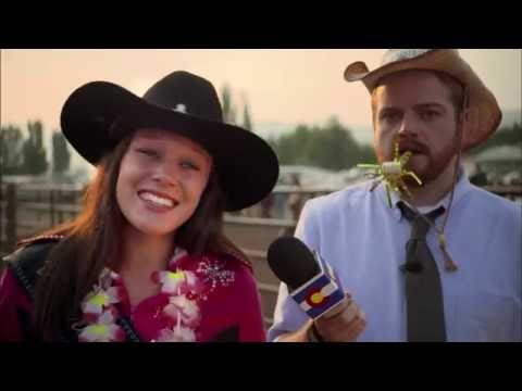Colorado Voter Registration