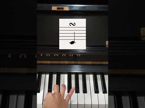 What are ornaments or embellishments in music?