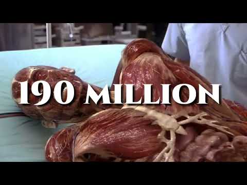 why Hollywood films 3d CGI so expensive . why does CGI cost so much . Hollywood movies costly vfx.v.