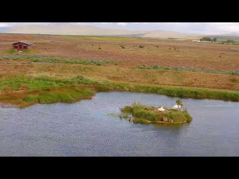 Hotel Rangá Live Stream