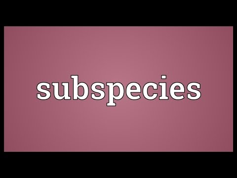 Subspecies Meaning