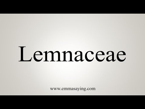 How To Say Lemnaceae