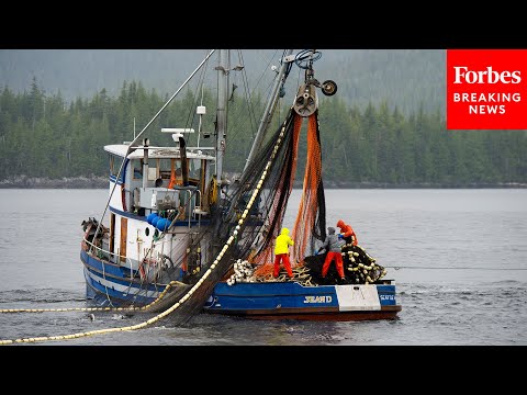 Democrats And Republicans Debate Changes To Magnuson-Stevens Fishery Act