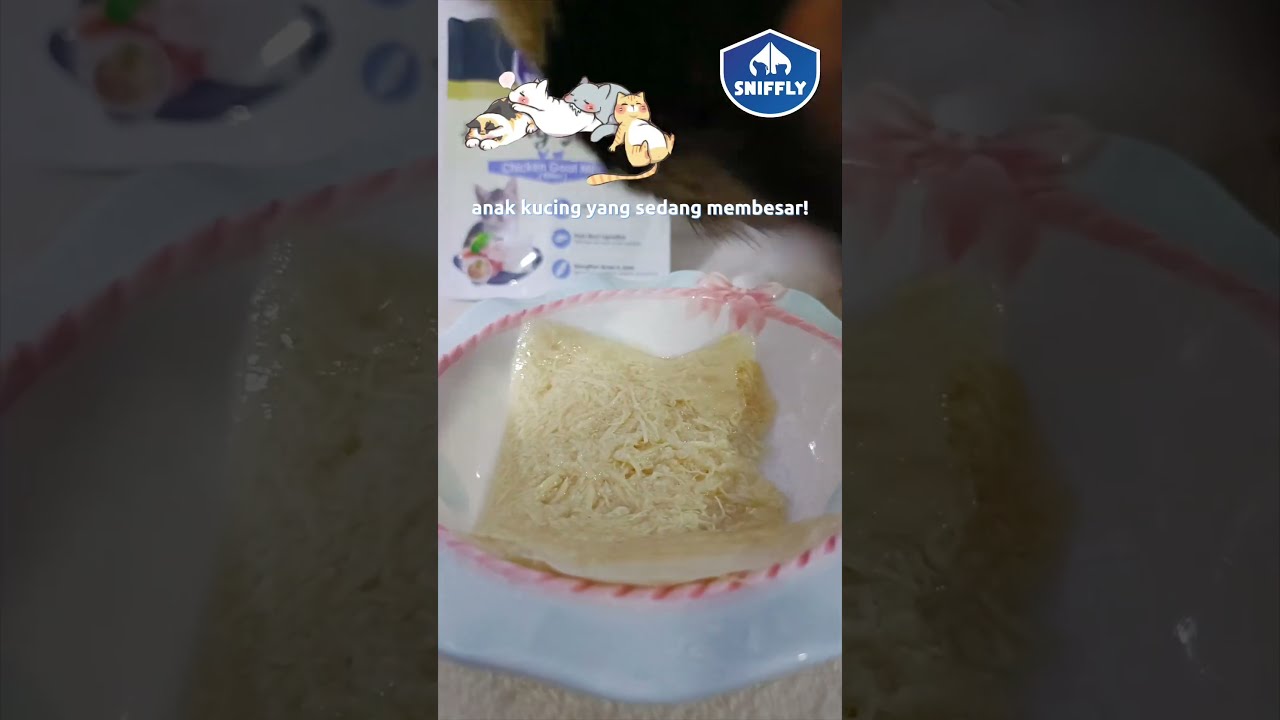 A huge shoutout to our amazing customer for choosing Sniffly Superior Cat Pouch 😻💗