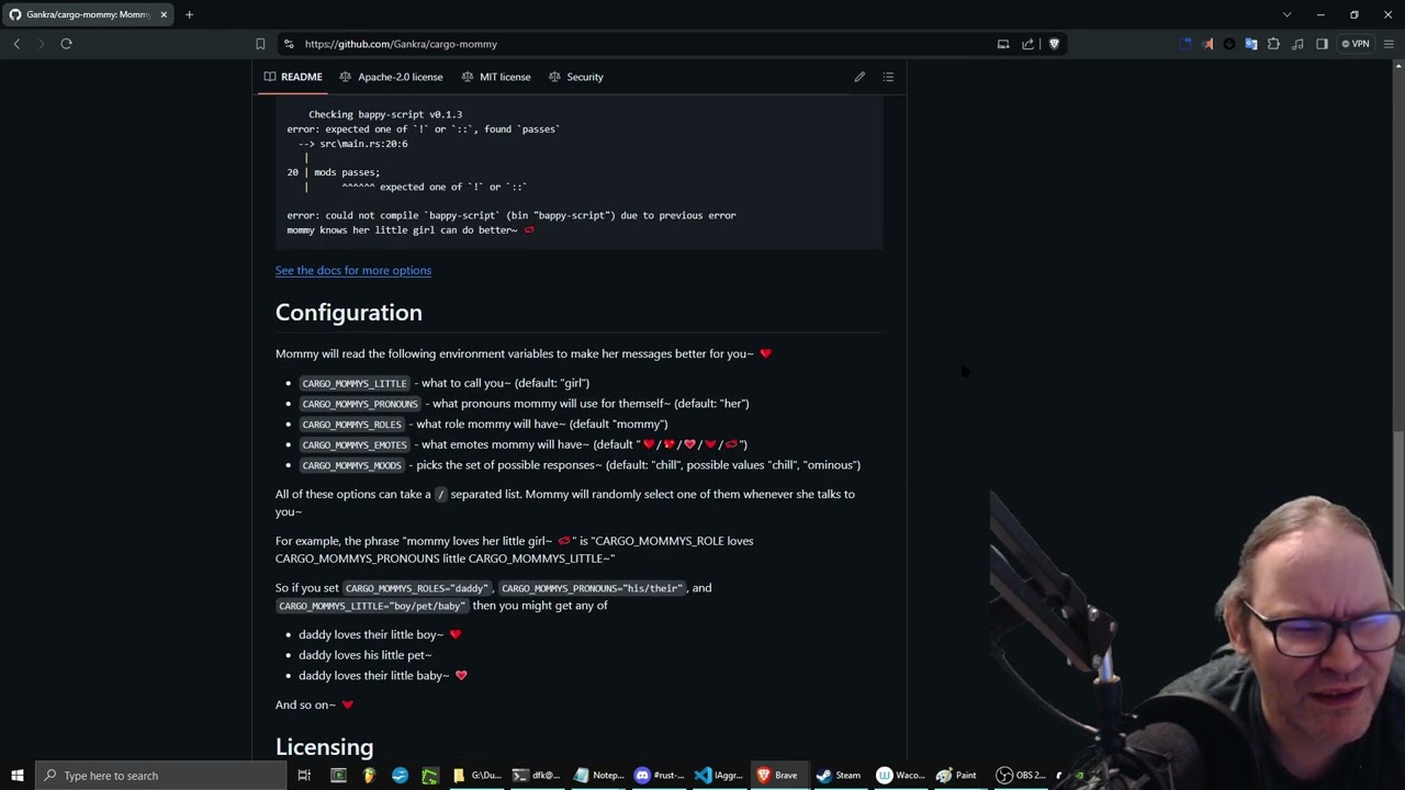 Why Rust Software Developers are unhinged