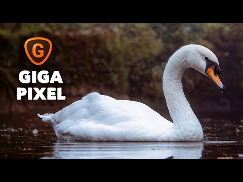 Beginner's upscale in Topaz Gigapixel 8 (stock photo)