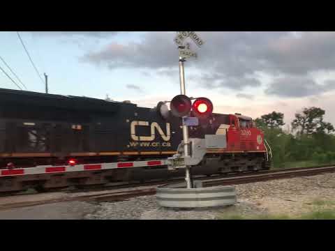 CN 3280 and CN 8949 leads Z194