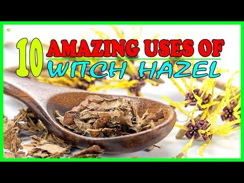 10 Amazing Uses For Witch Hazel You Must Try! - Witch Hazel Benefits | Best Home Remedies